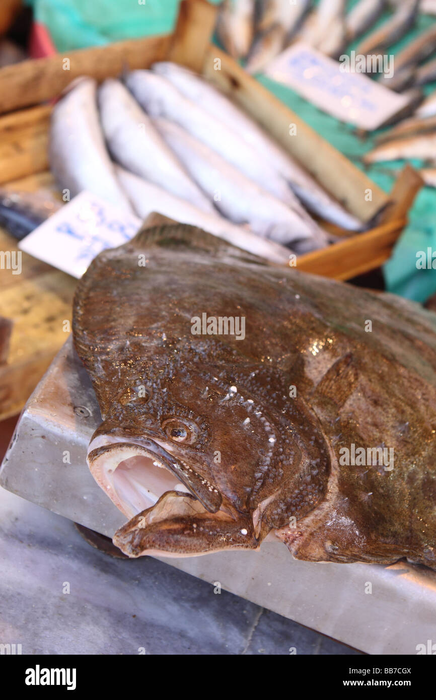 Istanbul Turkey the local fish market at Kumkapi sells freshly caught ...