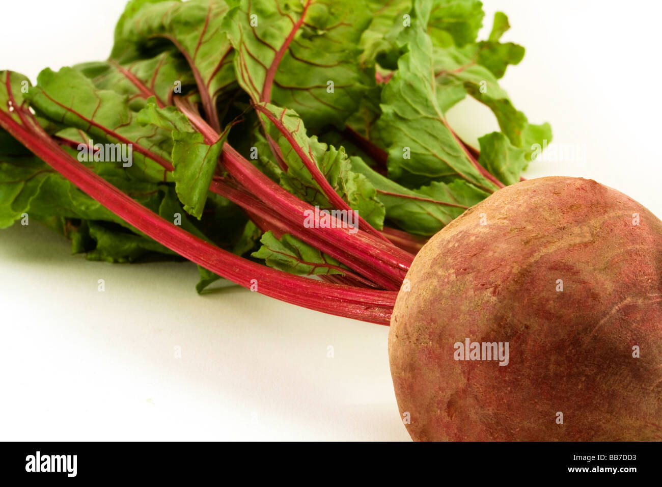 Beet Root Close-Up Stock Photo - Alamy