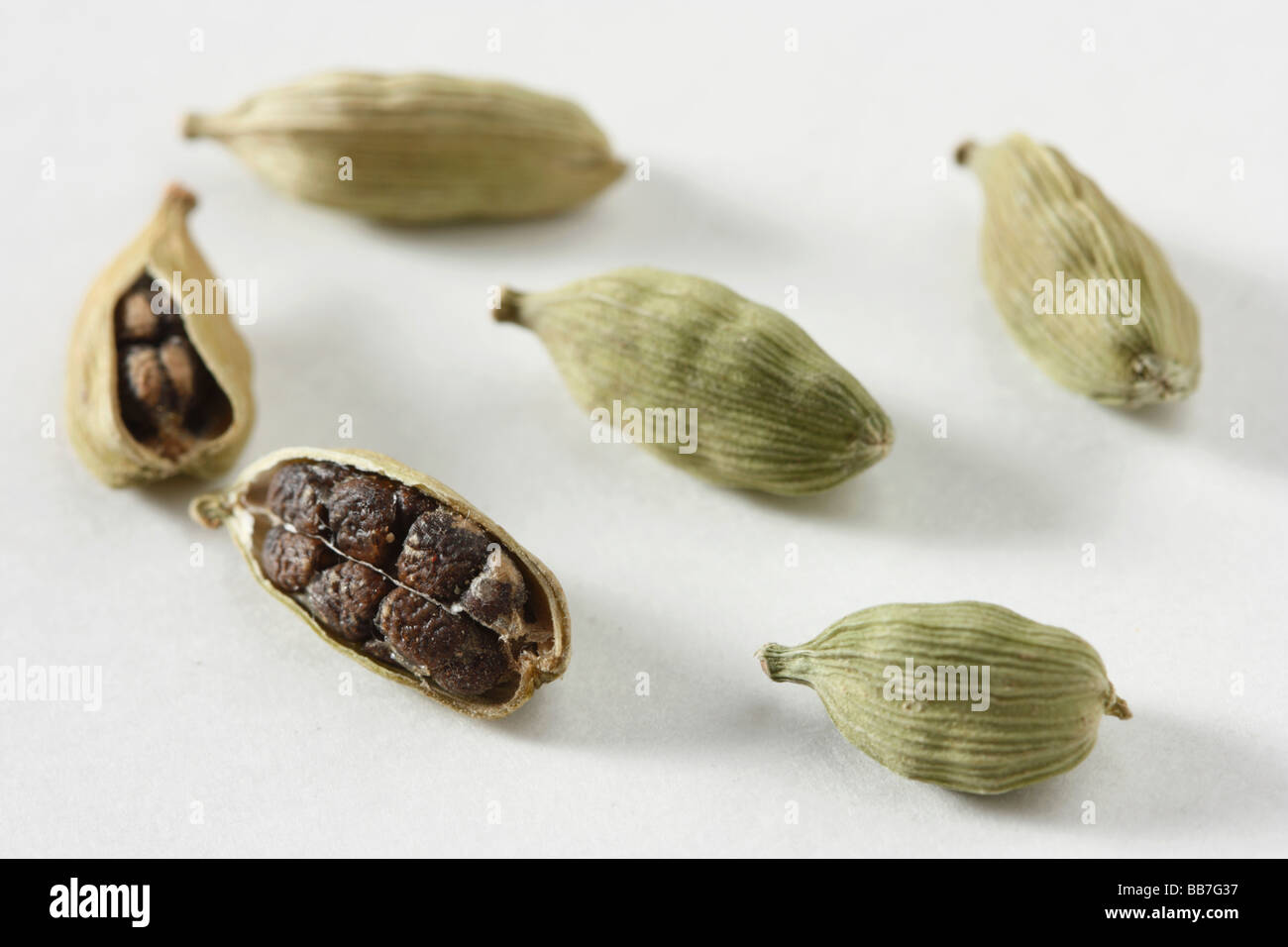 Green Cardamom is a popular Indian spice with many usages Stock Photo ...