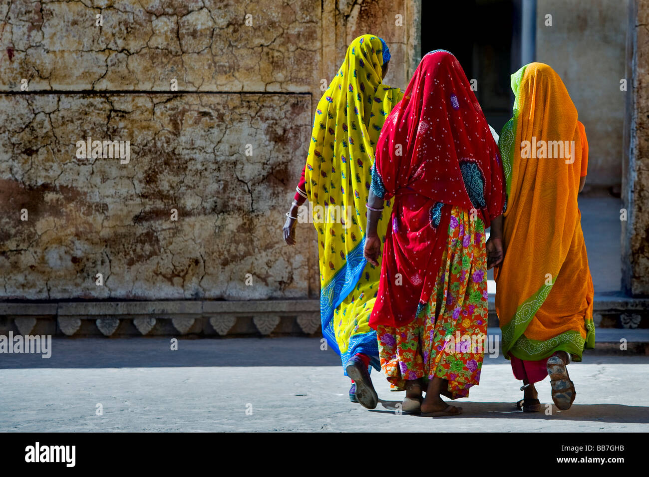 North Indian women wearing traditional clothing, India, Asia Stock ...