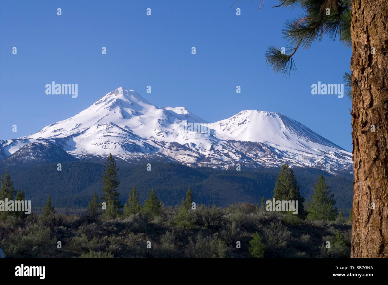 Camping mount shasta hi-res stock photography and images - Alamy
