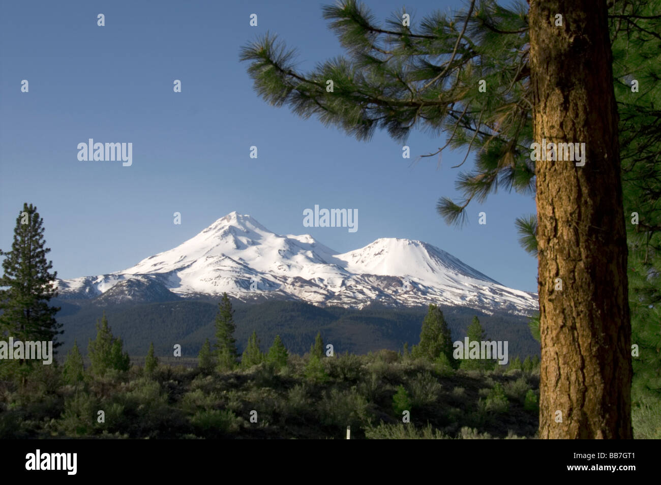 Mount Shasta from Militray Crossing Fire Road California Stock Photo ...