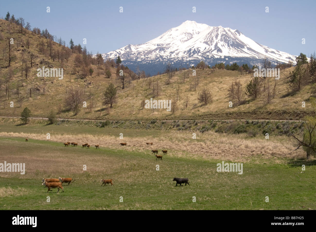 Mount Shasta and Shastina From lake Shasta Califronia USA Stock Photo ...