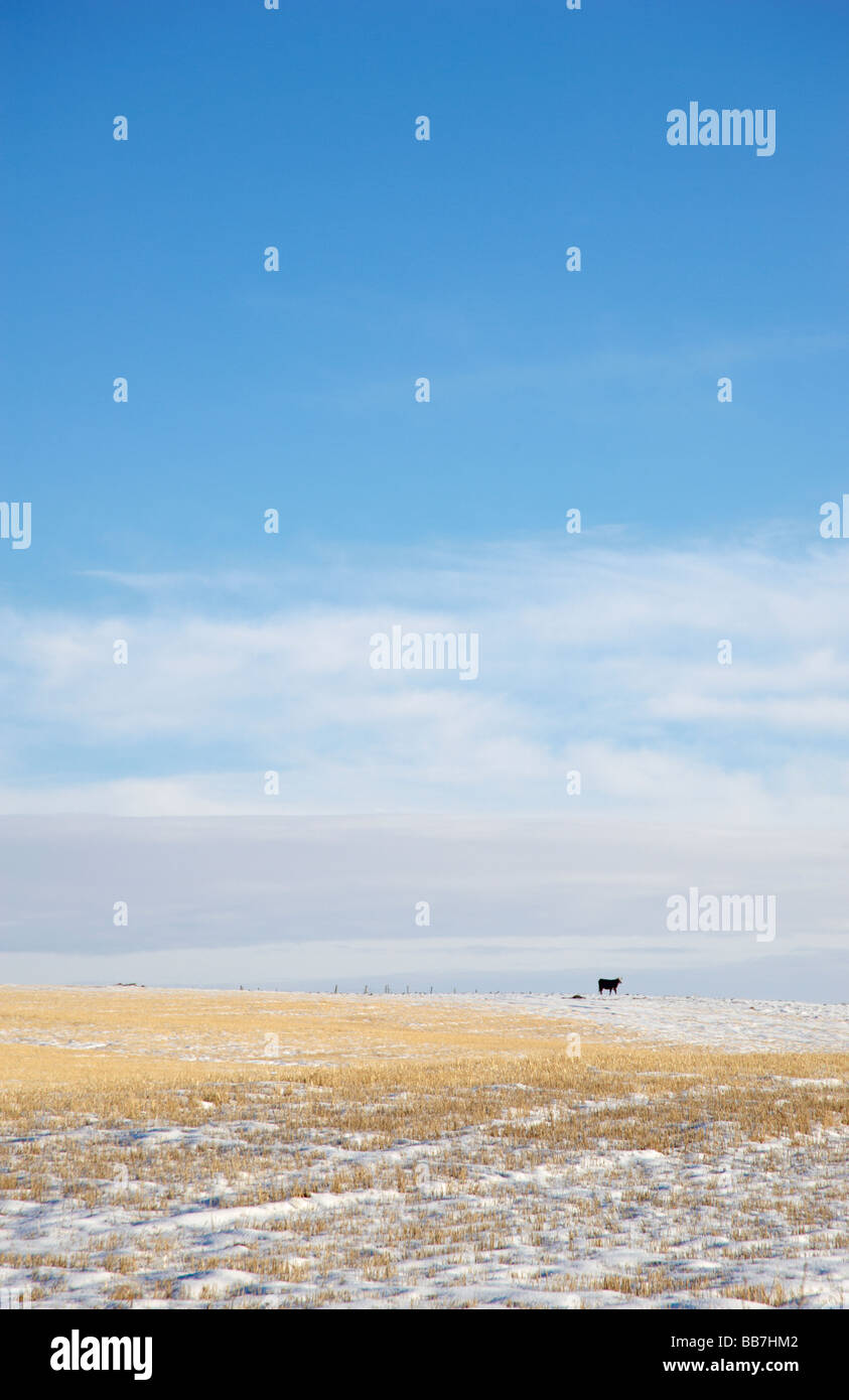 On prairies hi-res stock photography and images - Alamy
