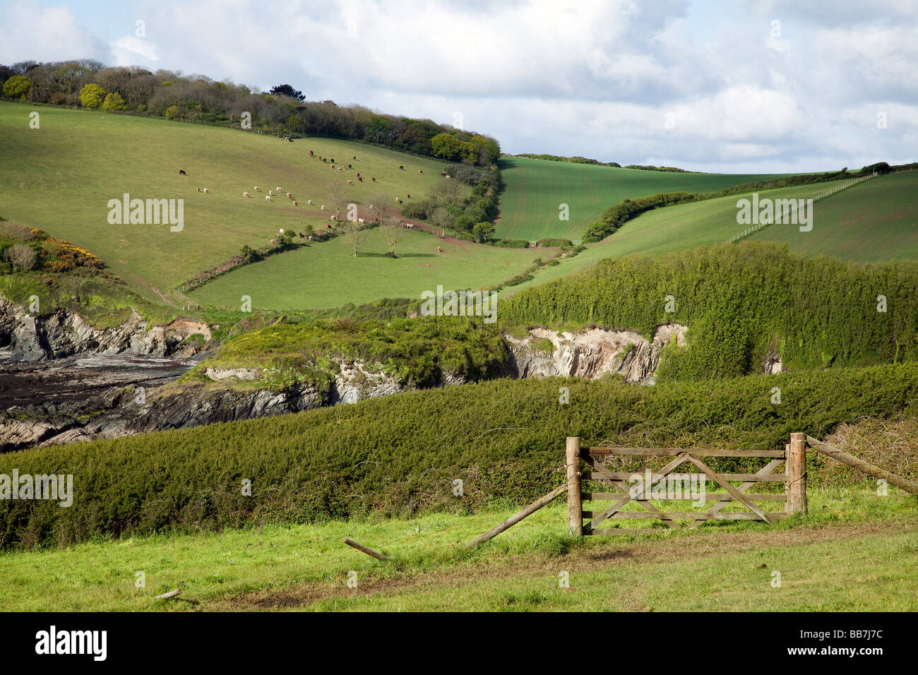 Menabilly estate hi-res stock photography and images - Alamy