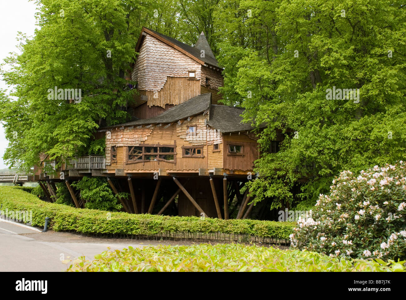 Alnwick Gardens famous tree house, Northumberland Stock Photo - Alamy