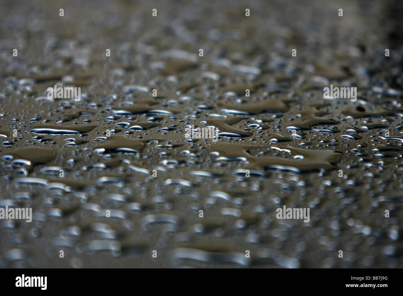 Droplets of rain water on the bonnet or hood of a car Stock Photo - Alamy