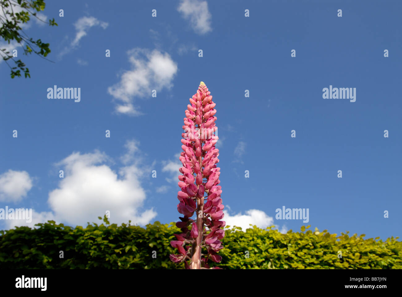 Blue Intense Sky High Resolution Stock Photography and Images - Alamy