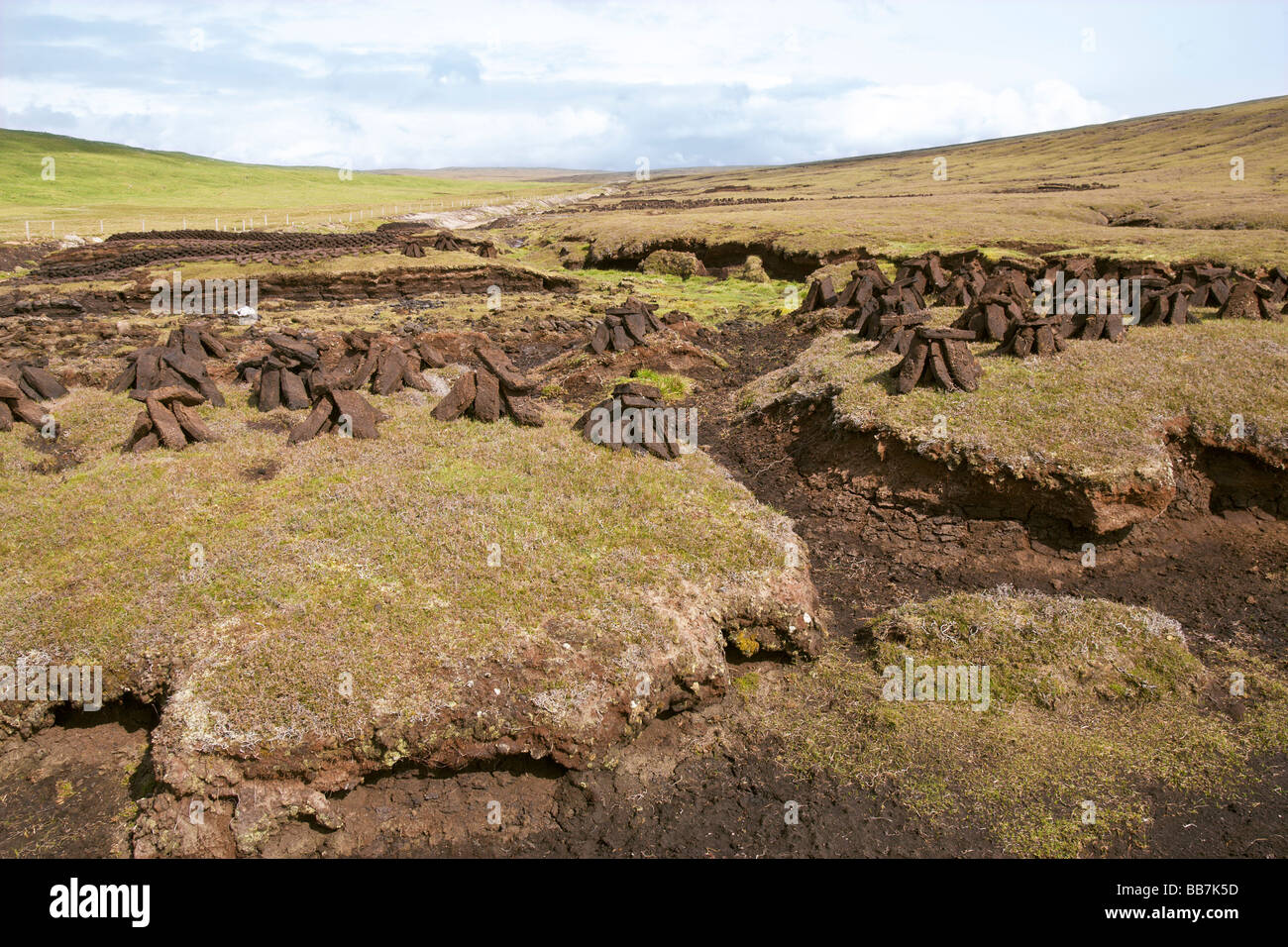 Peat bog uk hi-res stock photography and images - Alamy