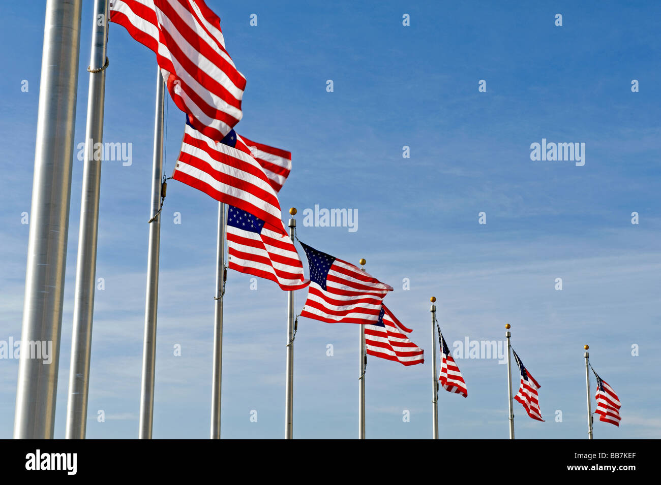 American flags on the Mall, Washington DC, USA Stock Photo - Alamy