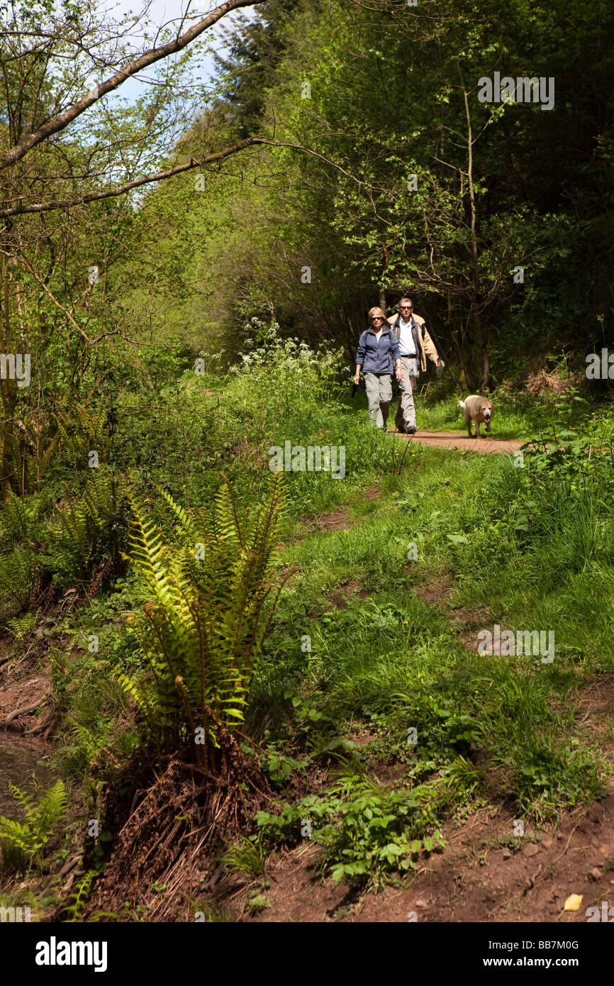 UK Gloucestershire Forest of Dean Soudley Ponds Nature Reserve middle ...