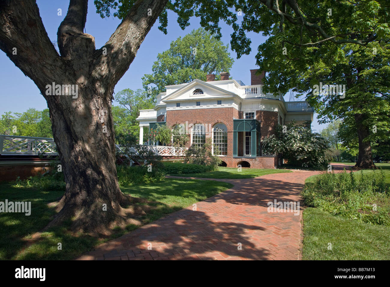 Sugar Maple Tree High Resolution Stock Photography and Images - Alamy