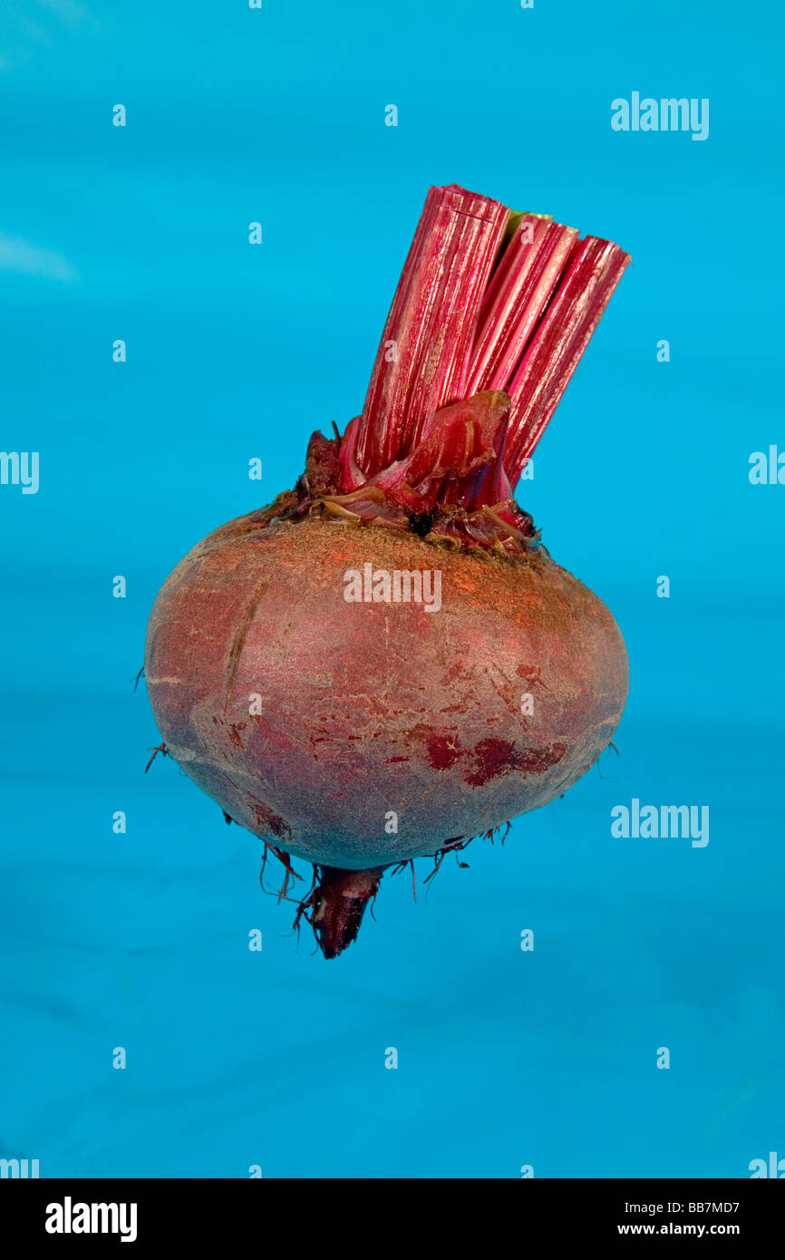 Bright red beet Stock Photo - Alamy