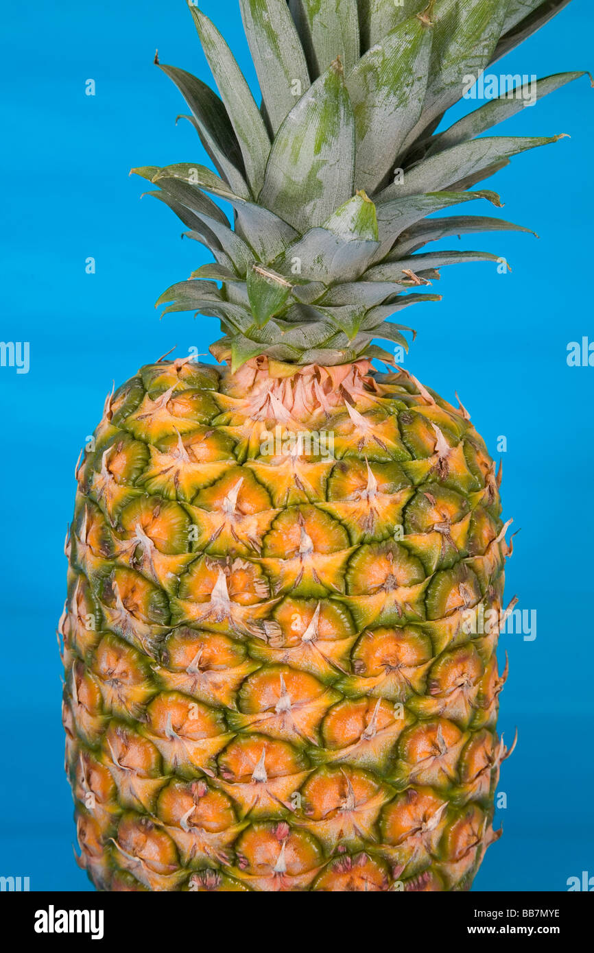 Pineapple fruit hi-res stock photography and images - Alamy