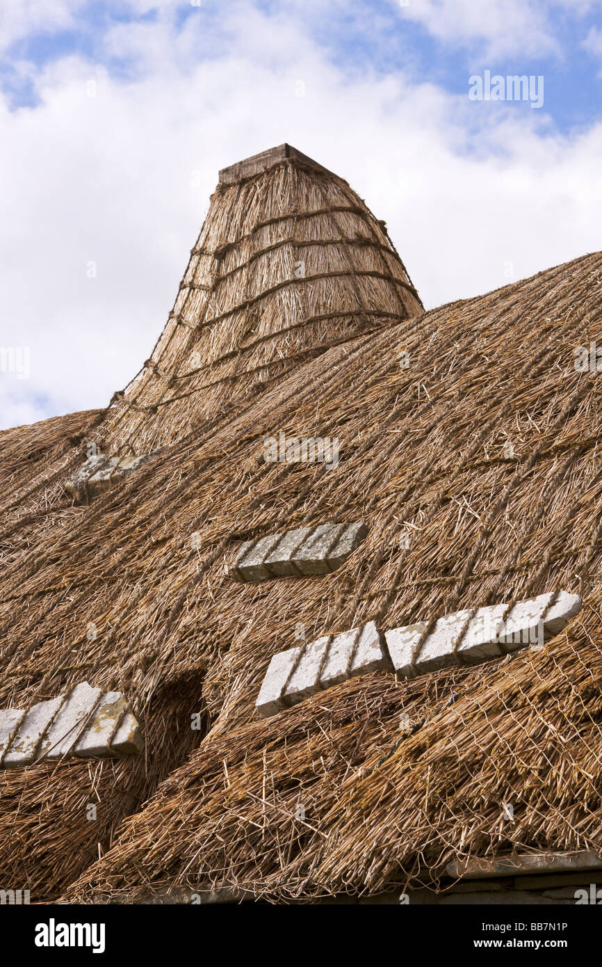 Traditional thatched roof with rock weights Mainland Shetland Scotland ...