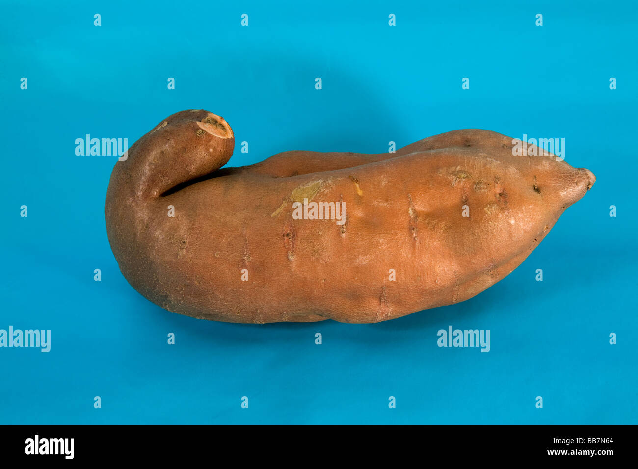 Yam potato with potato eyes Stock Photo - Alamy