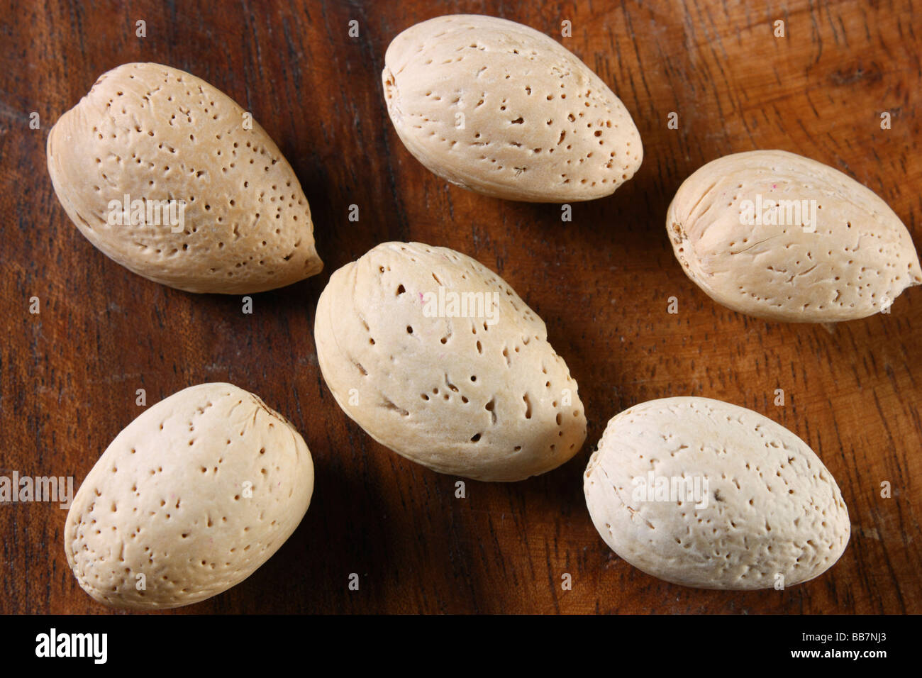 Used shells hi-res stock photography and images - Alamy