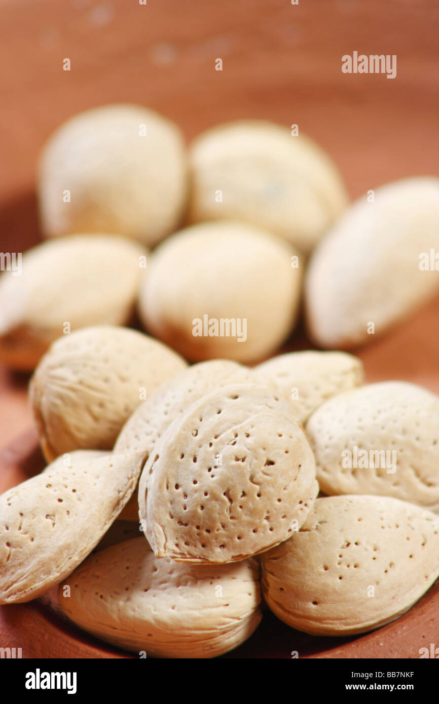 Badam shell or Almond Shells are used as an ingredient in Indian Food ...