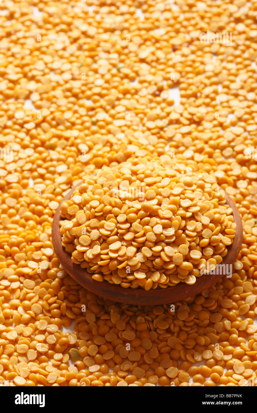 Toor Dal In Tamil