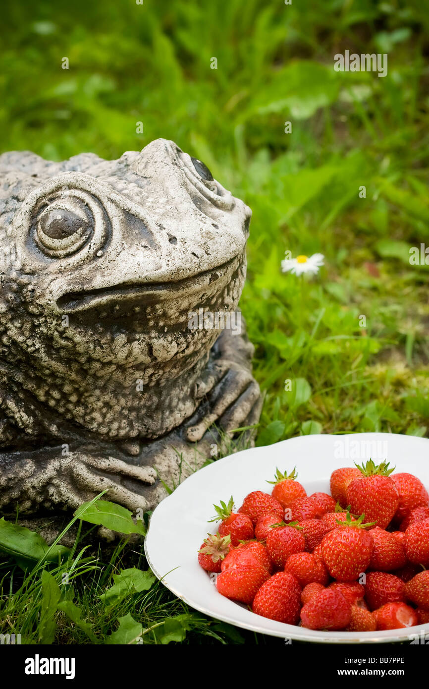 Ceramic garden frog hi-res stock photography and images - Alamy