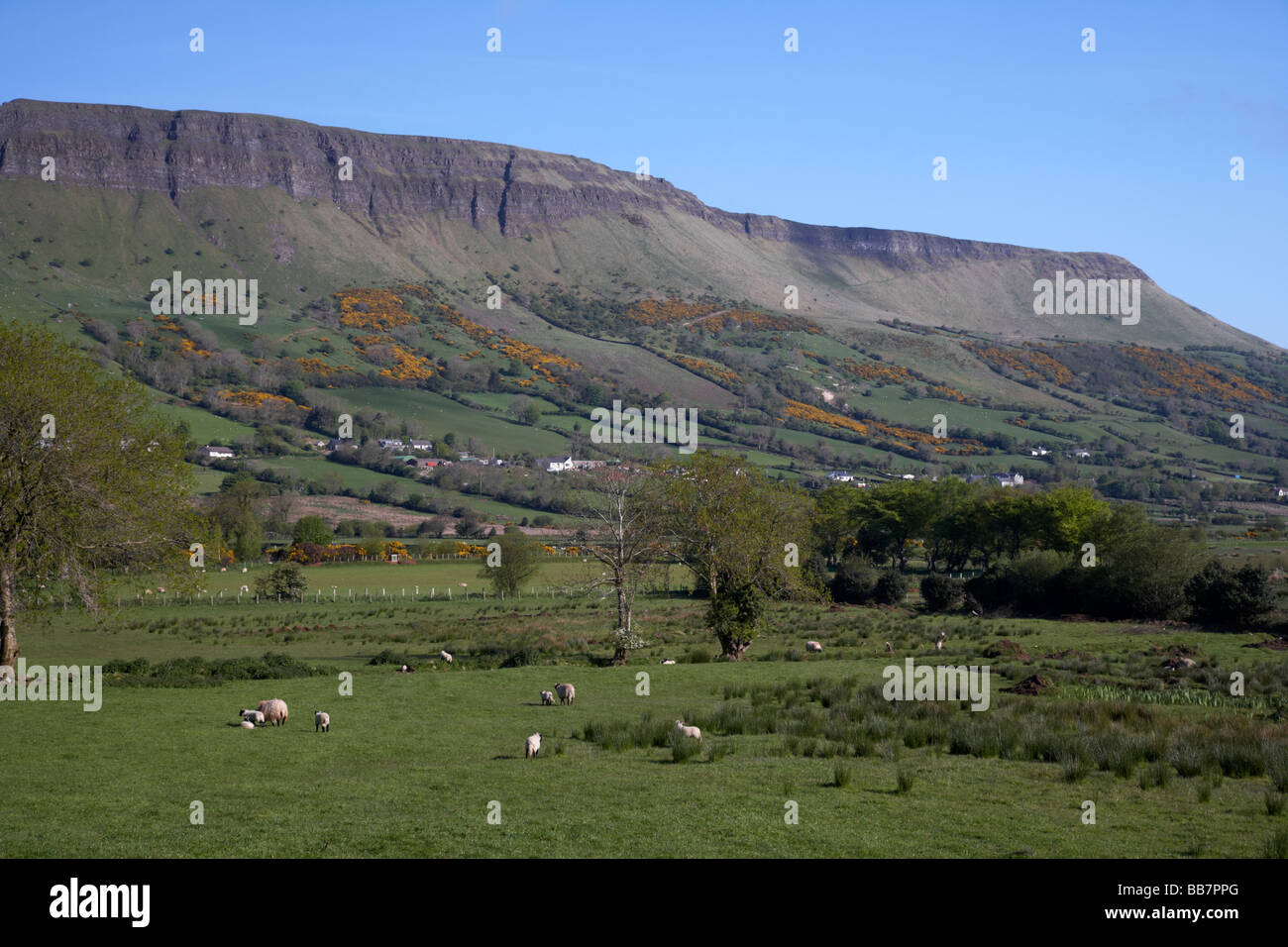 farmland in glenarrif beneath lurigethan mountain glenariff county ...