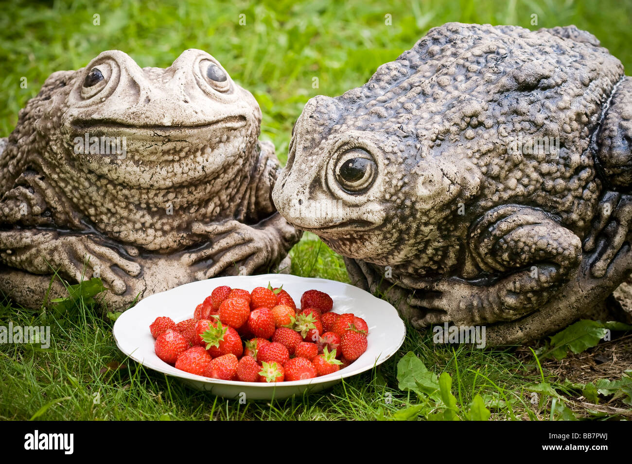 Ceramic garden frog hi-res stock photography and images - Alamy