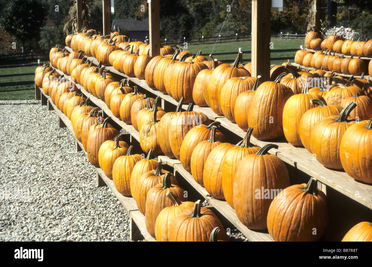 Tiered rows of benches hi-res stock photography and images - Alamy