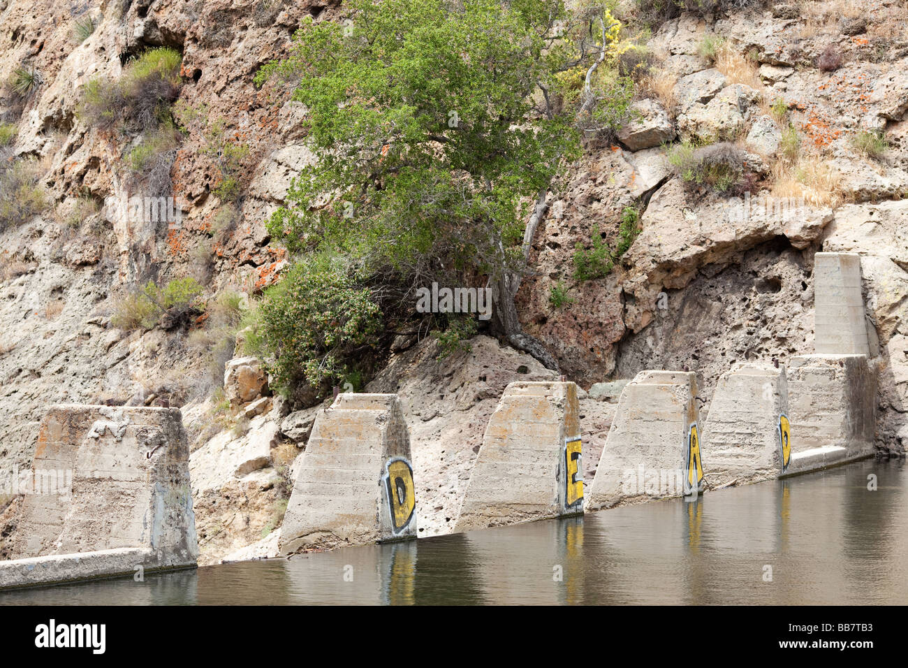 Malibu Creek Dams