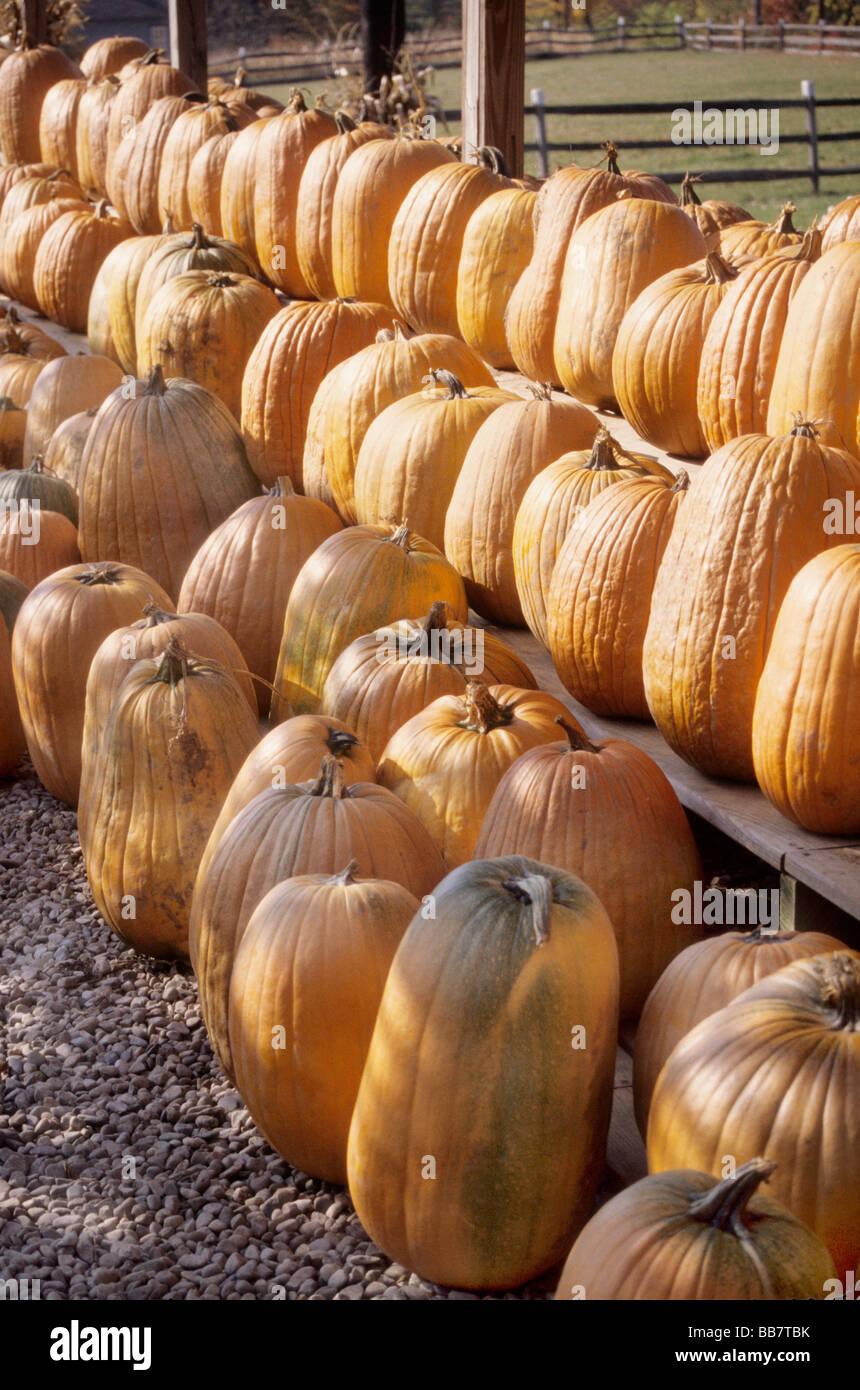 Tiered rows of benches hi-res stock photography and images - Alamy