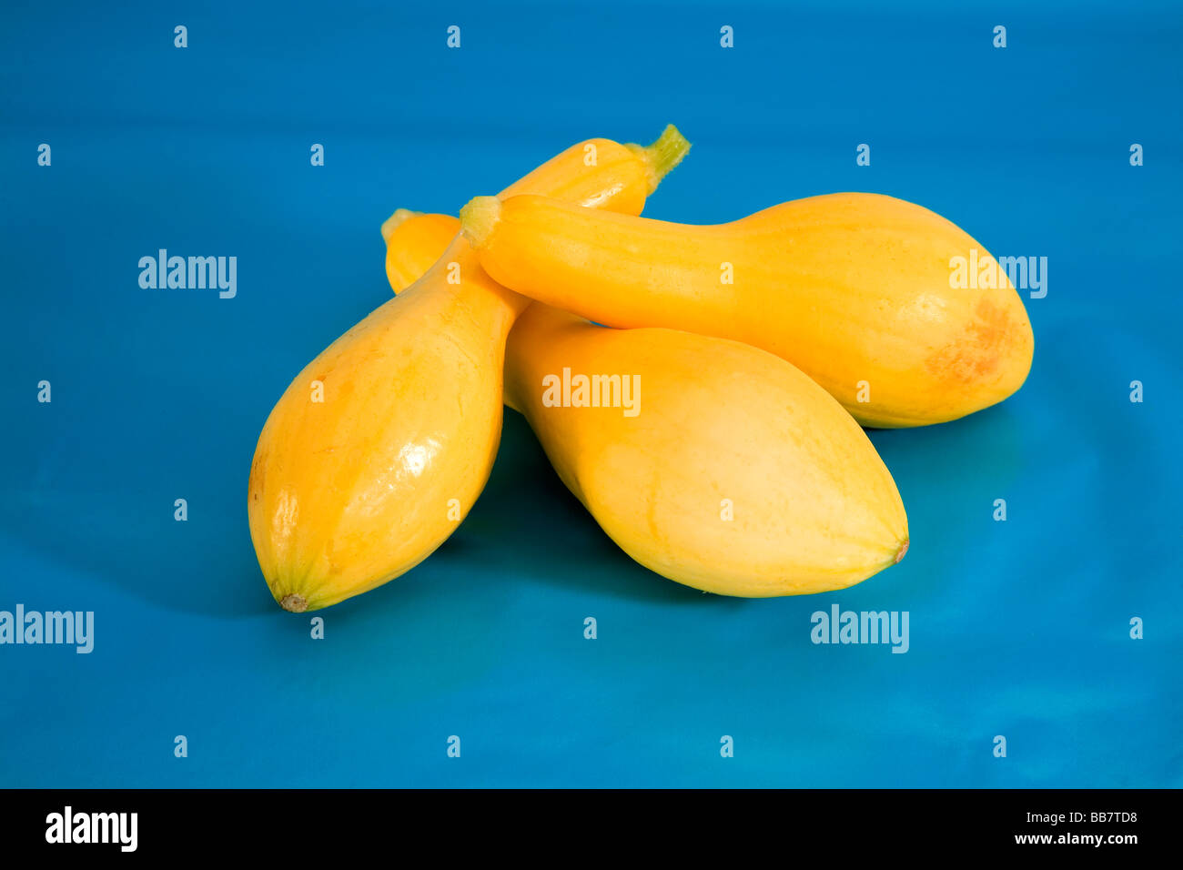 Yellow summer or crooked neck squash Stock Photo - Alamy