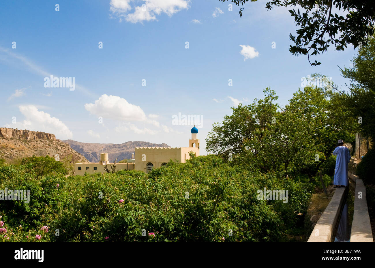 Falaj irrigation hi-res stock photography and images - Alamy