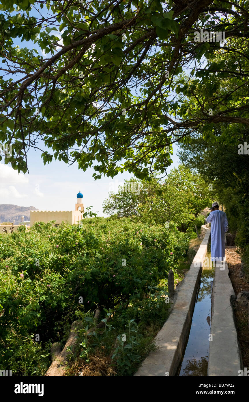 Falaj Irrigation High Resolution Stock Photography and Images - Alamy