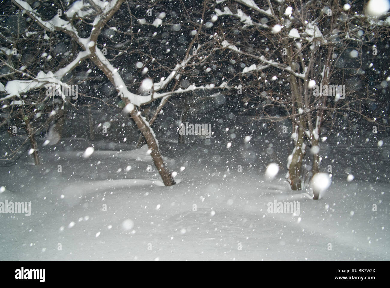Night, Blizzard, Snow High Resolution Stock Photography and Images - Alamy
