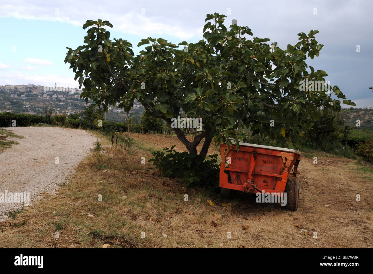 Italian Farm machinery used in olive groves and vineyards Stock Photo ...
