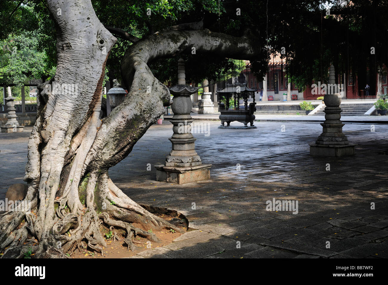Kaiyuan temple in quanzhou hi-res stock photography and images - Alamy