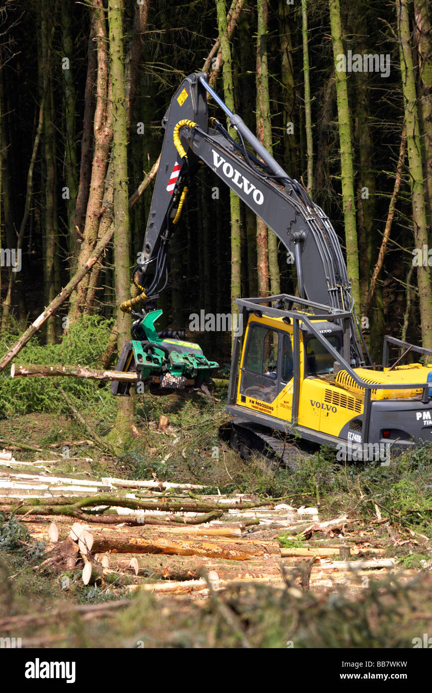 mechanical digger cutter loader backhoe harvesting timber from softwood ...