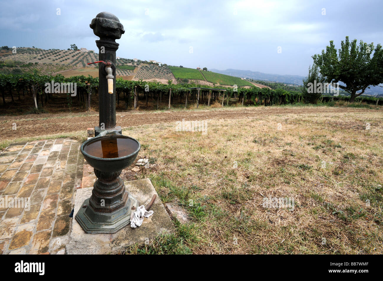 Italian farm yard Stock Photo - Alamy