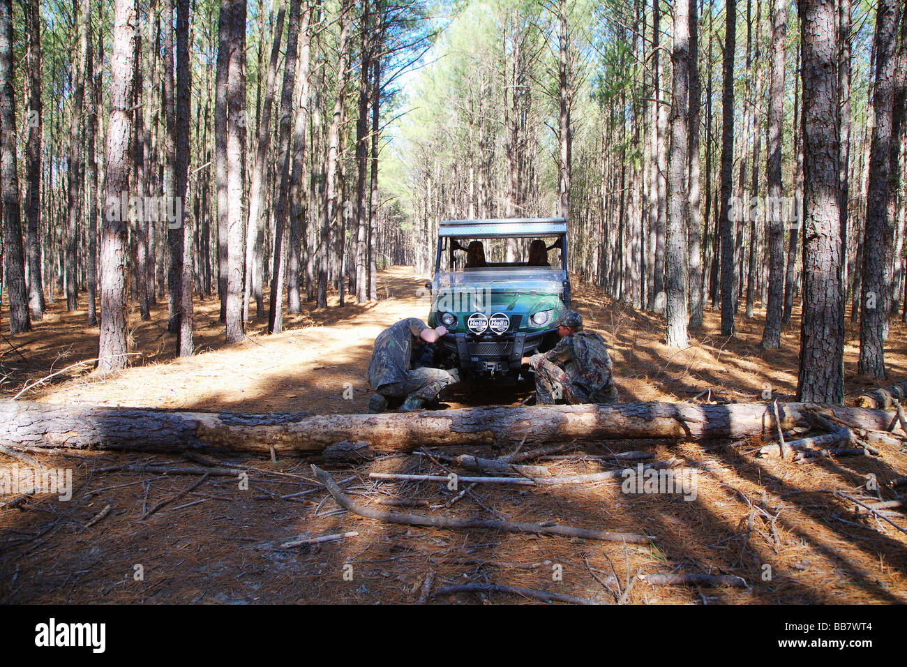 TWO HUNTERS IN 4X4 ATV PREPARING TO USE WINCH TO GET AROUND LARGE TREE ...