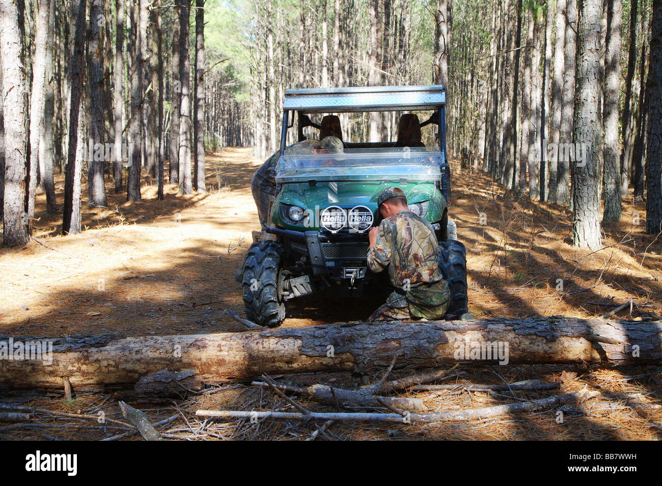 TWO HUNTERS IN 4X4 ATV PREPARING TO USE WINCH TO GET AROUND LARGE TREE ...