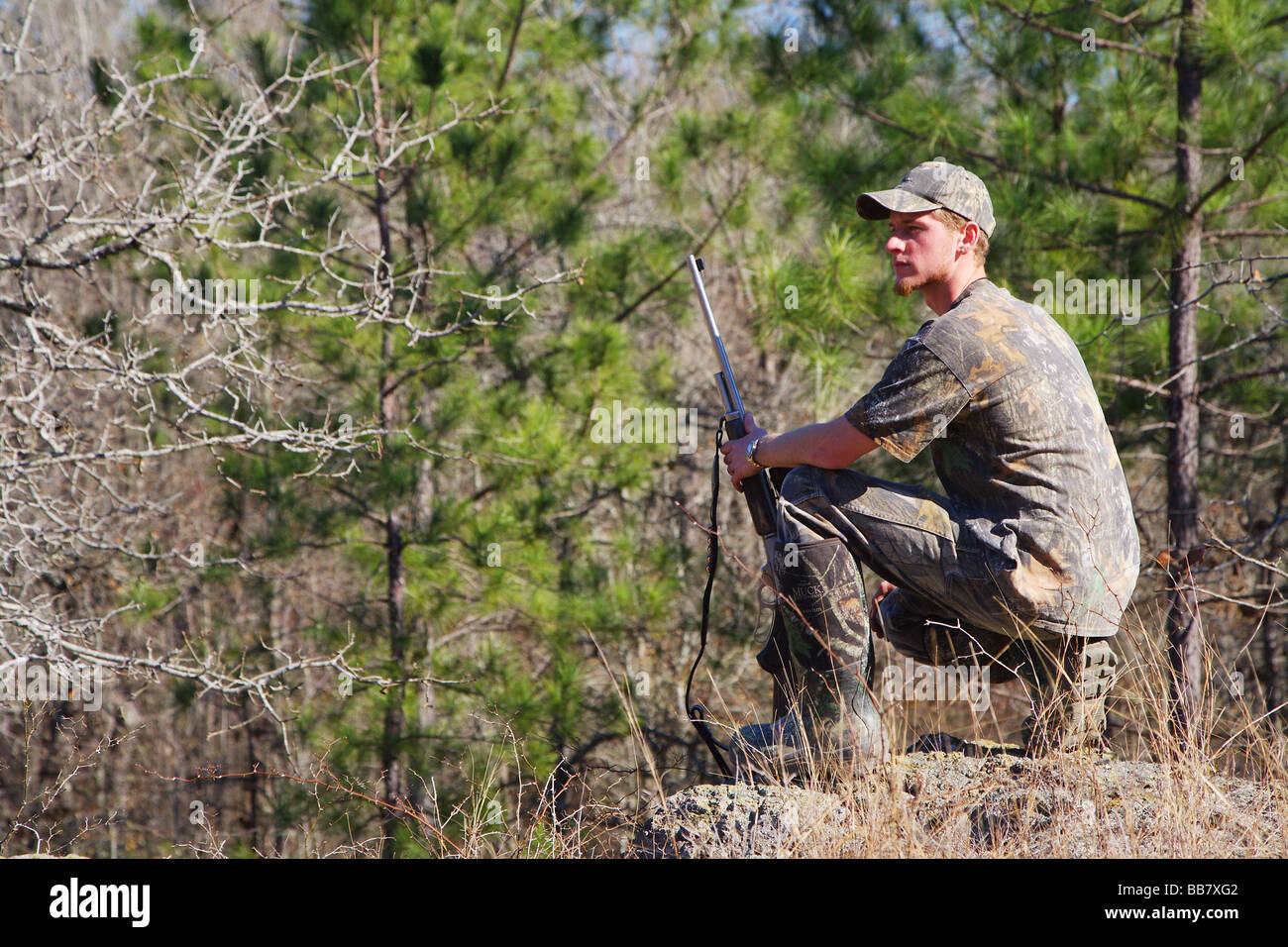 HUNTER ON A ROCKY CLIFF LOOKING AND LISTENING FOR GAME PINE FOREST ...