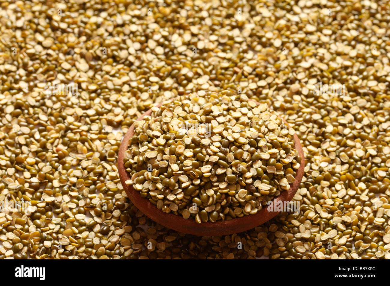 Green gram split is known as moong dal, which is green with the husk ...
