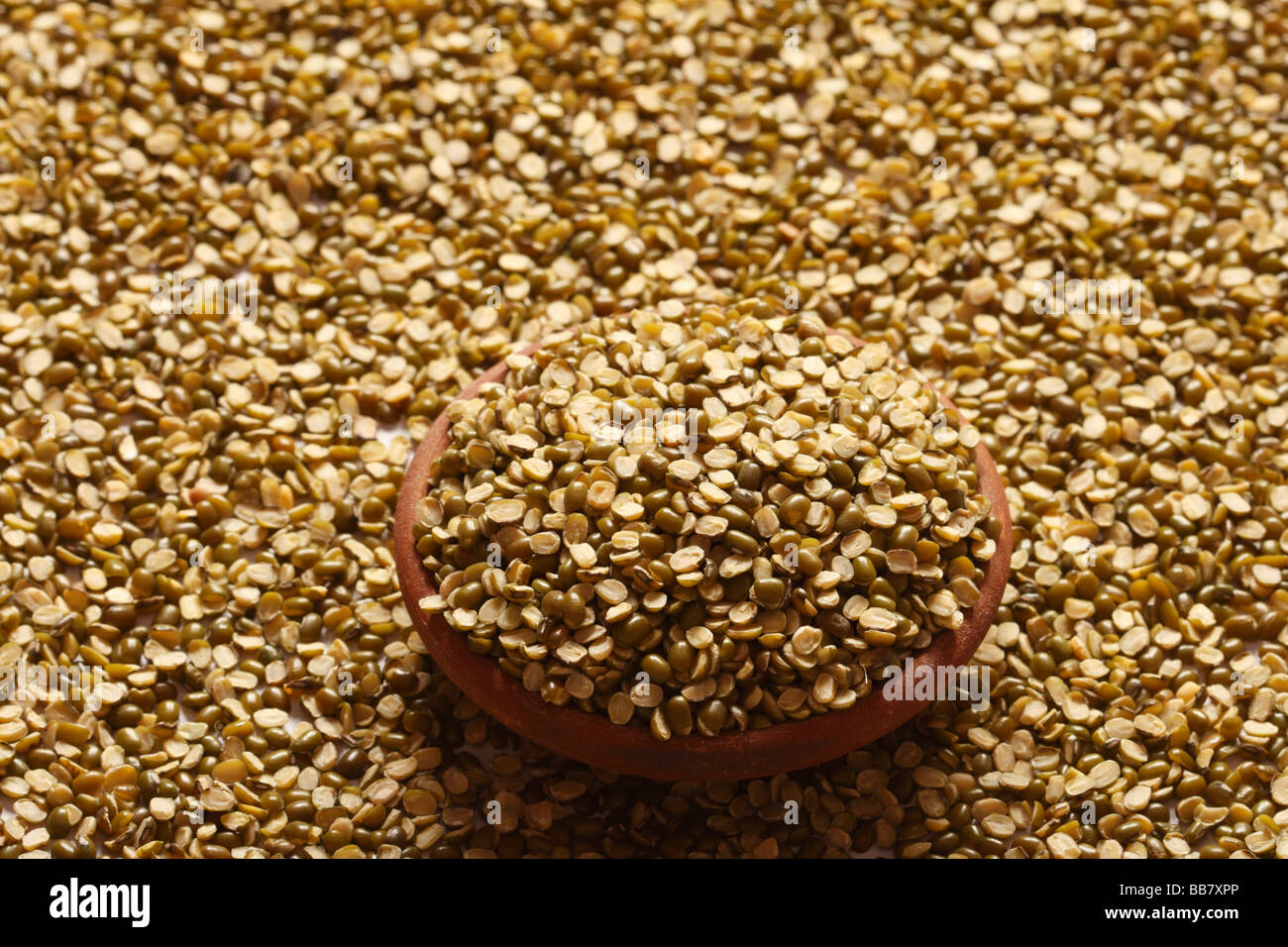 Green gram split is known as moong dal, which is green with the husk ...