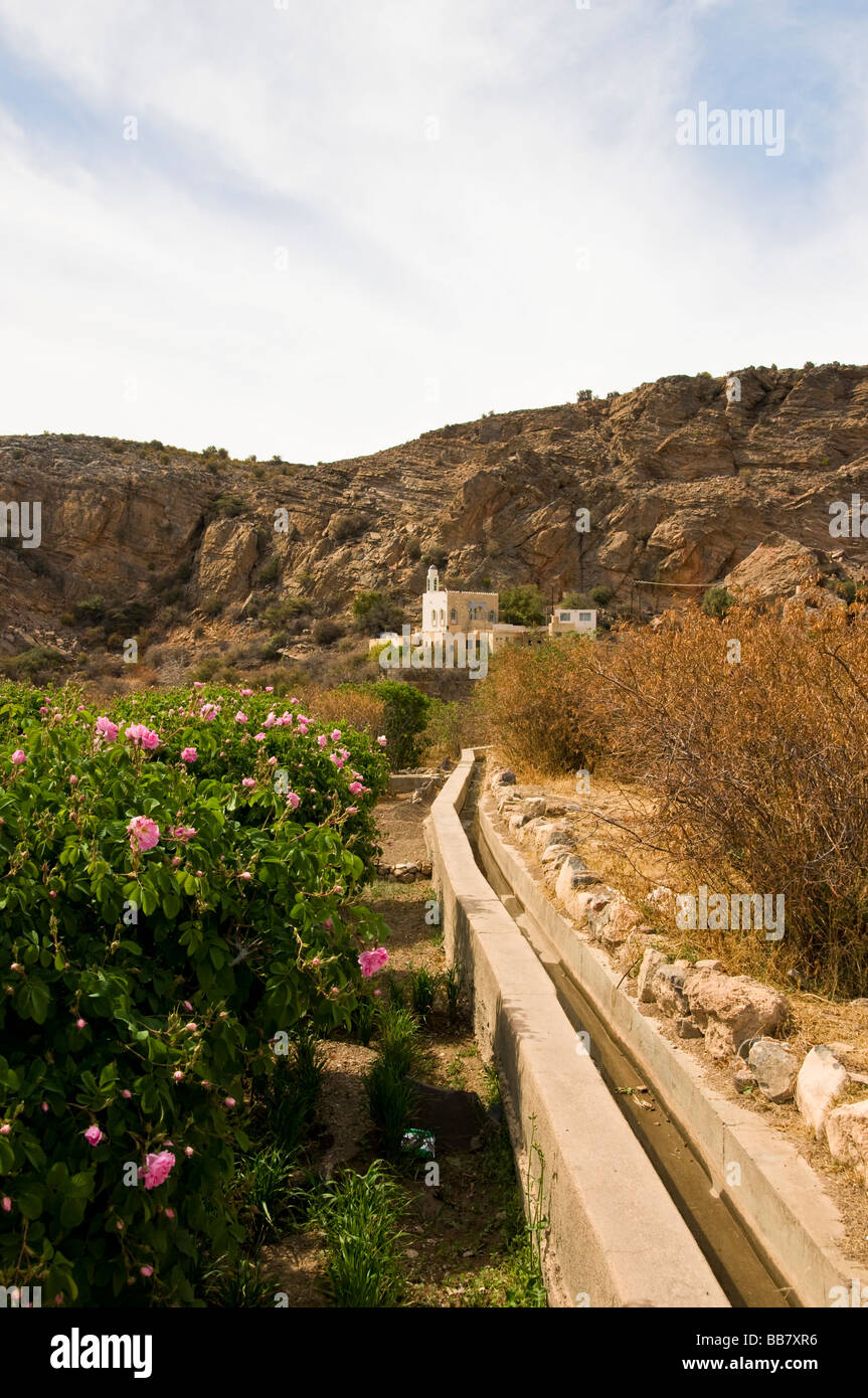 Water irrigation system Falaj in Jabal el Akhdar Sultanate of Oman ...
