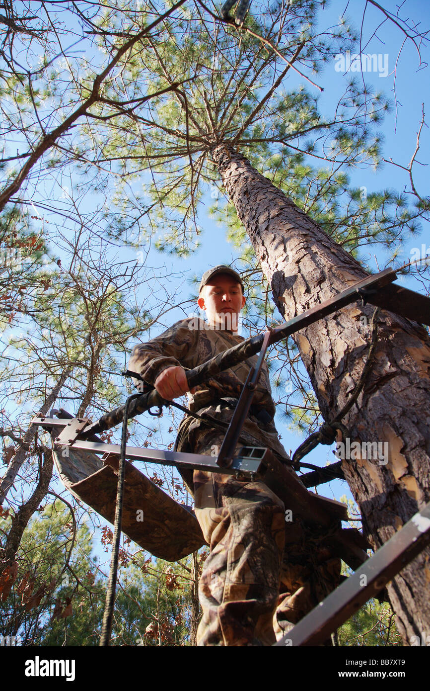 HUNTER CLIMBING PINE TREE WITH CLIMBING TREE STAND REAL TREE CAMO Stock ...