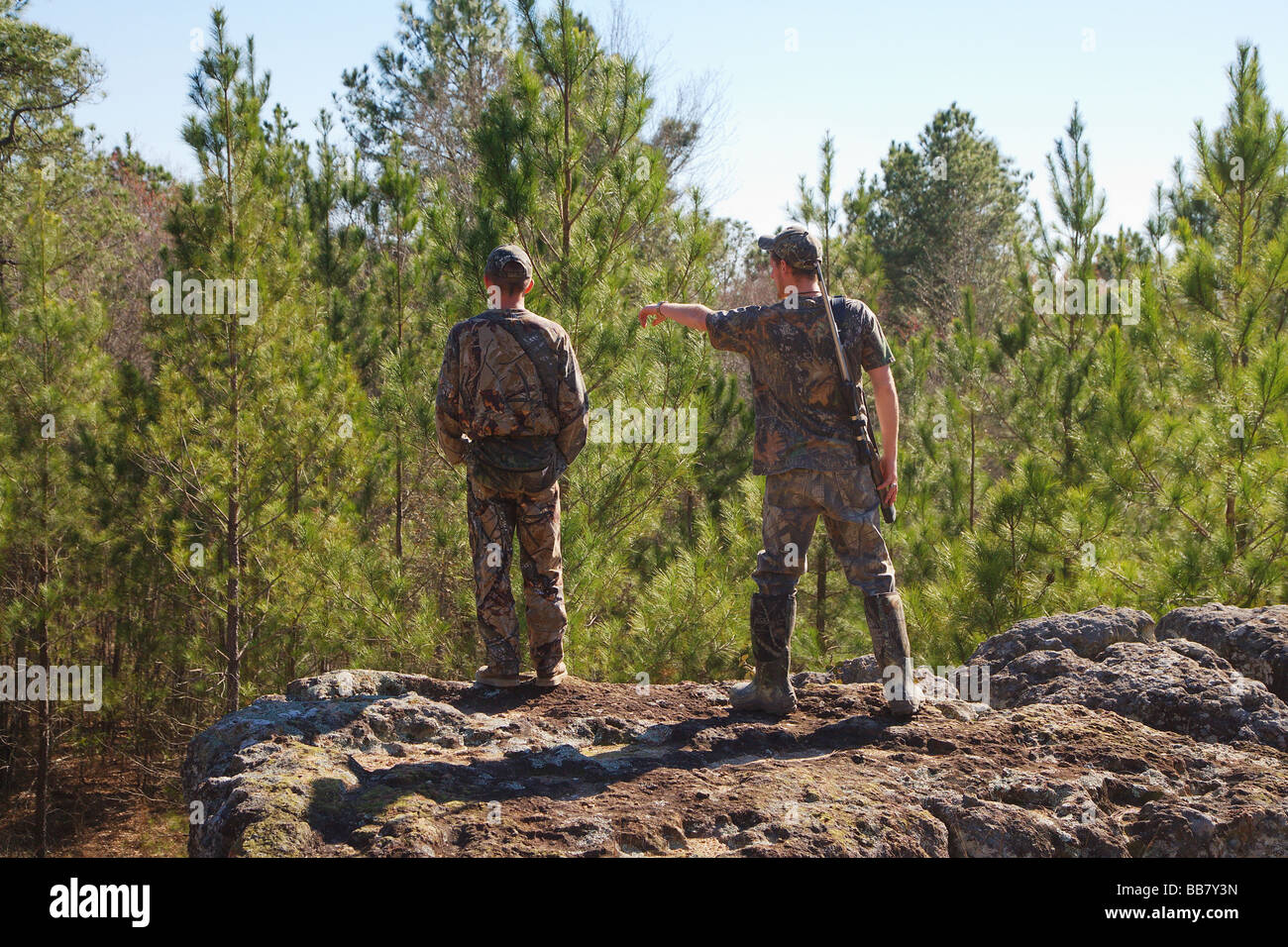 Wild boar stand hi-res stock photography and images - Alamy