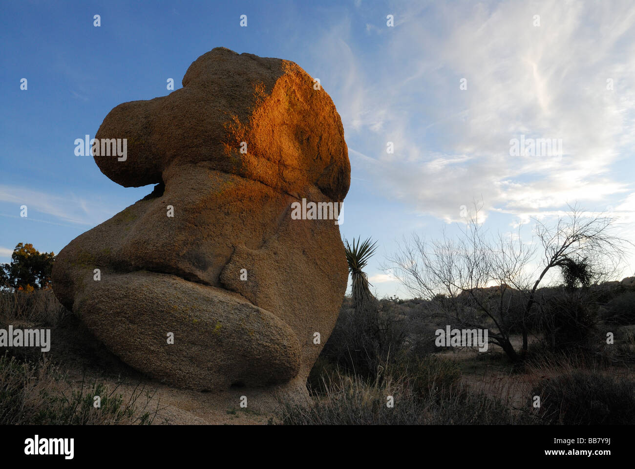 red sand rock with a rabbit apparence during sunset the sky is blue and ...