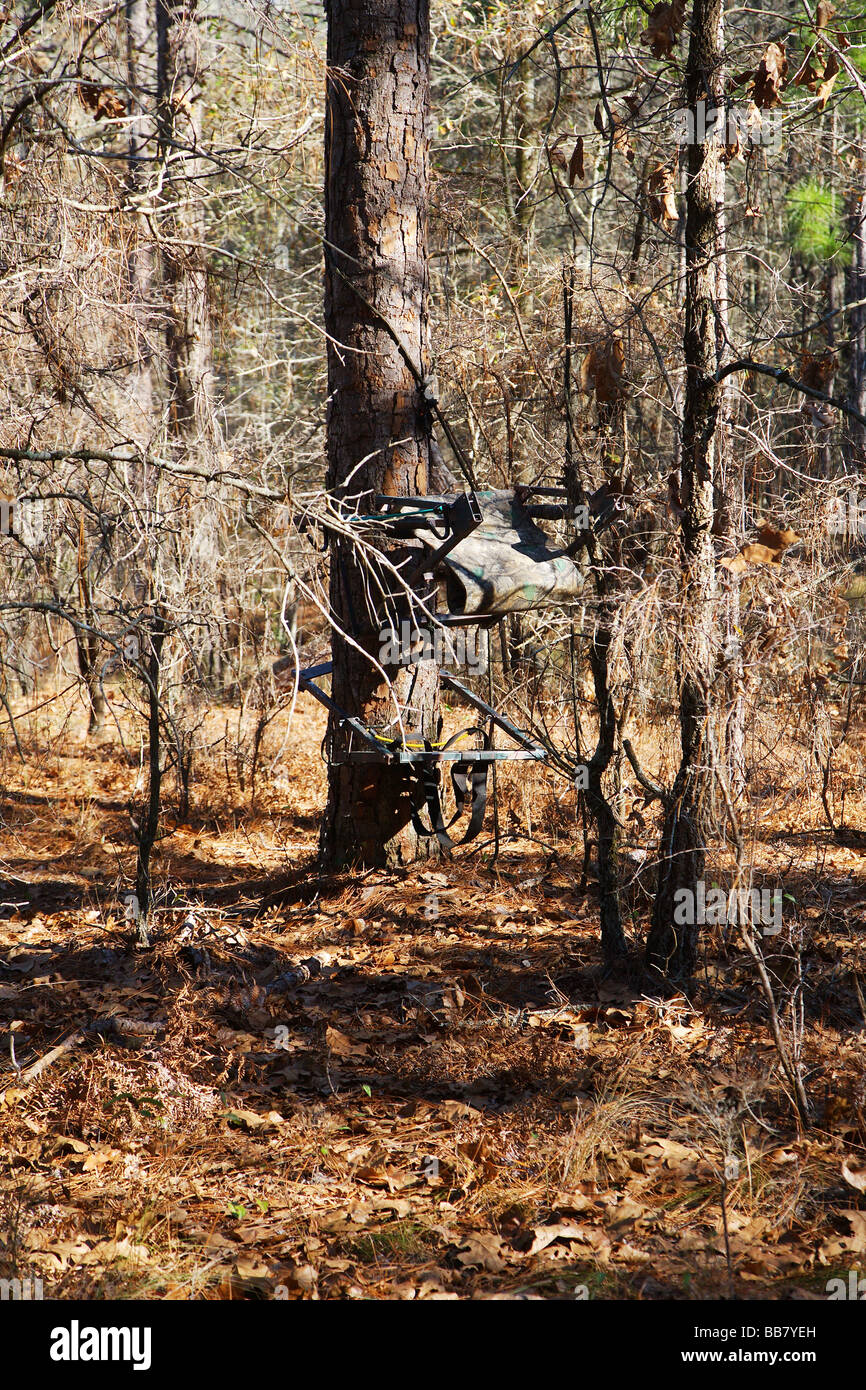 CLIMBING TREE STAND HIDDEN IN THE FOREST AT THE BASE OF A TREE READY ...