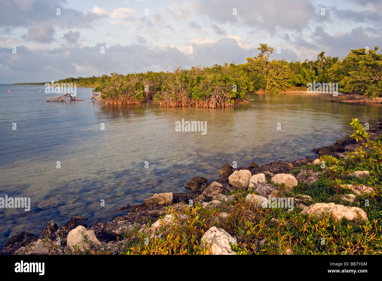 Biscayne National Park Stock Photo - Alamy