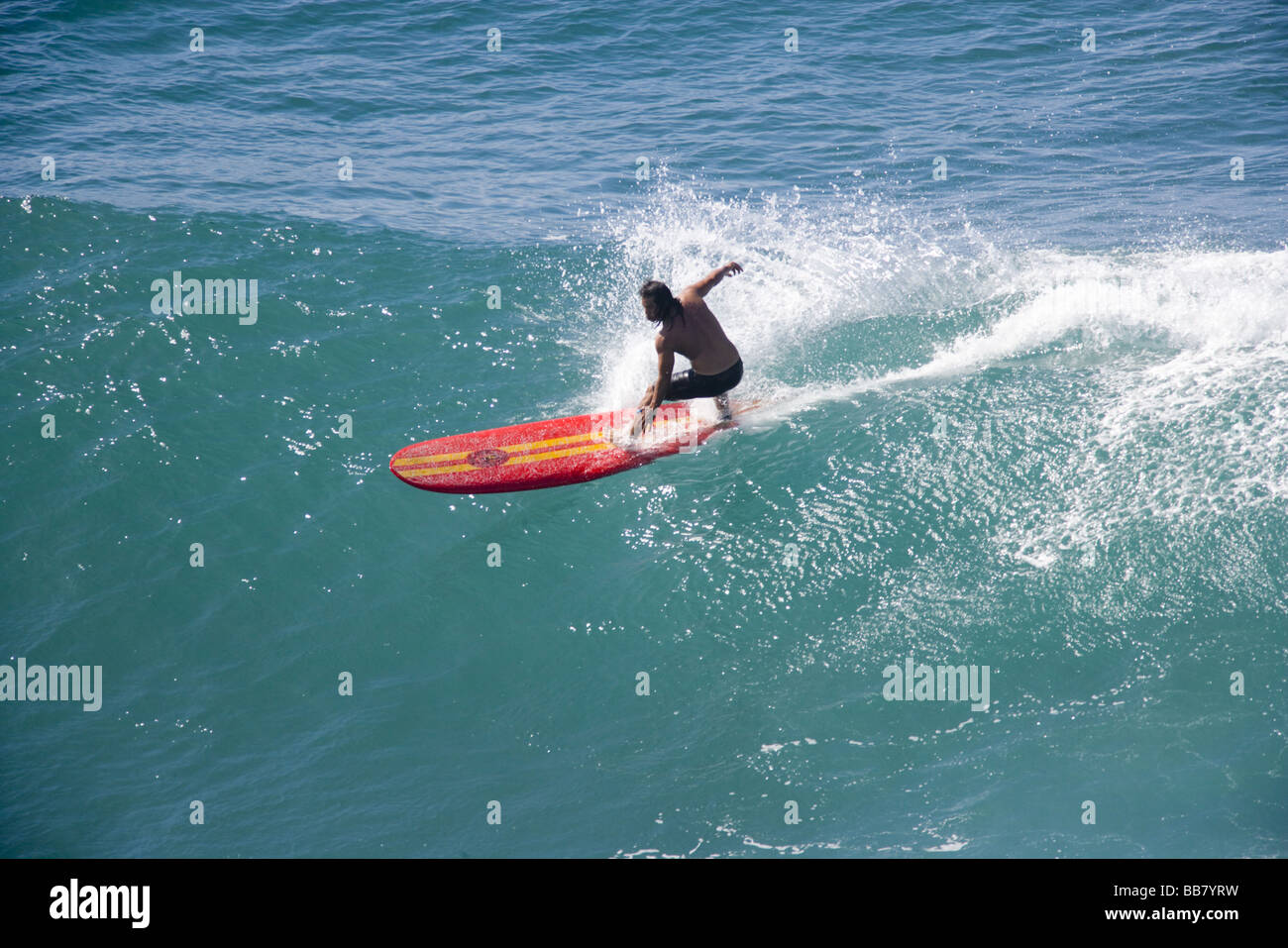 Surfing hawaii longboard hi-res stock photography and images - Alamy