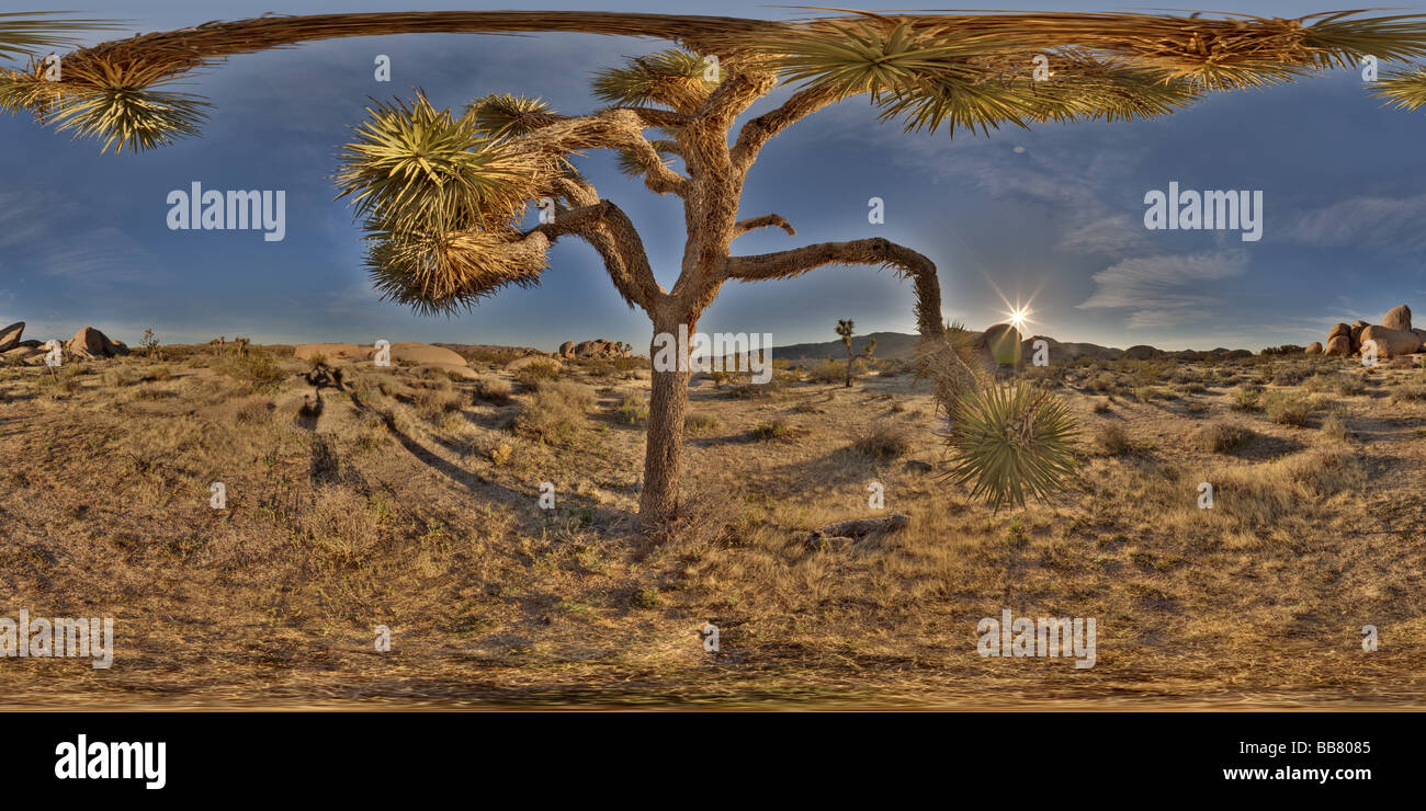 360 degree virtual tour of sunrise over The Joshua Tree National Park ...